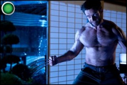 The Wolverine review: prickly on the outside, cuddly on the inside ...