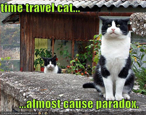 Saturday cute: time travel cat... | FlickFilosopher.com